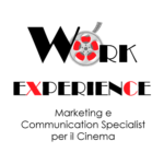 PROJECT WORK EXPERIENCE - TAILENT