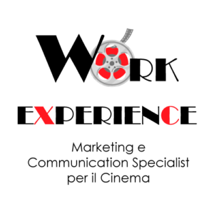 PROJECT WORK EXPERIENCE - TAILENT